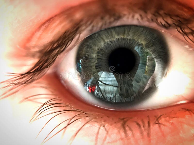 Close-up View of Human Green Eye Stock Photo - Image of color, green ...