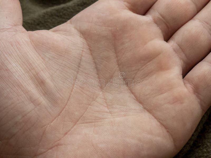 A Close-up View of a Human Palm Showcasing Fine Lines and Textures ...