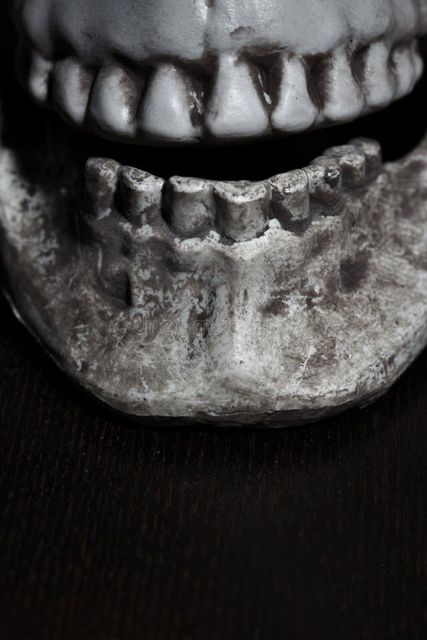 Close-up View on the Human Skull Stock Photo - Image of horror ...