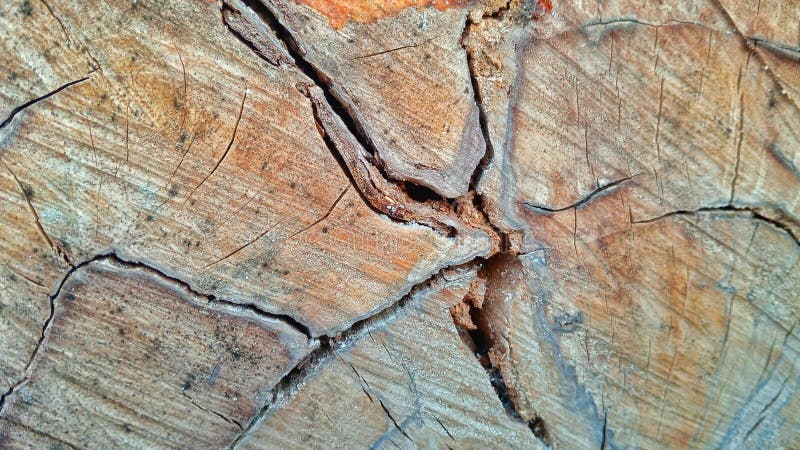 Hollow Detail with Mesh Procured by Metal Powder 3d Printer Stock Photo ...