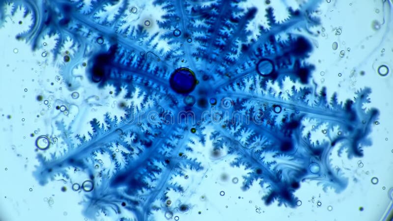 Close-up View of Intricate Blue Microalgae Patterns Under a Microscope ...