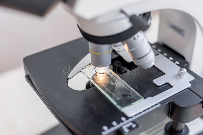 Close Up View of Laboratory Worker Using Microscope and Examines ...