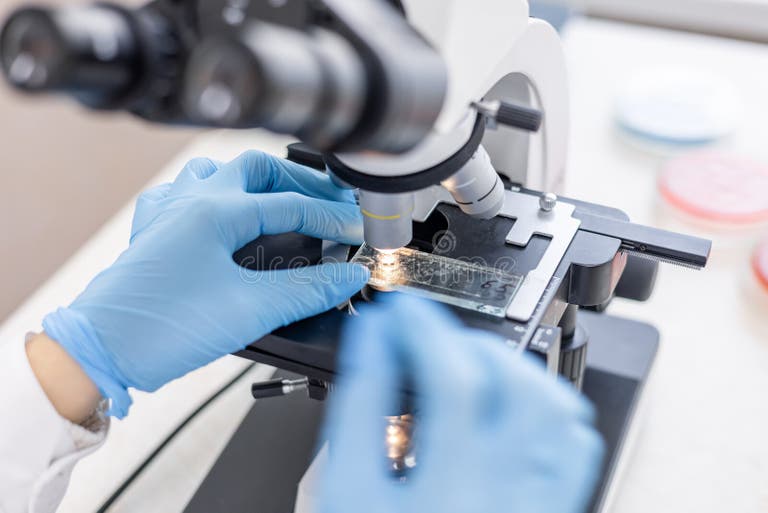 Close Up View of Laboratory Worker Using Microscope and Examines ...