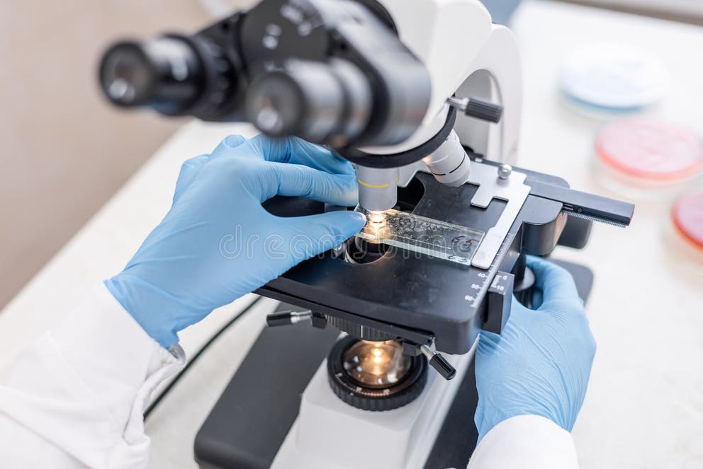 Close Up View of Laboratory Worker Using Microscope and Examines ...