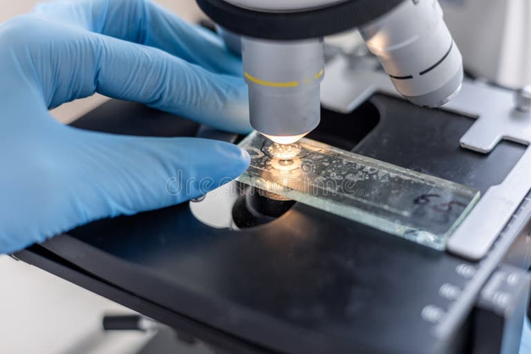 Close Up View of Laboratory Worker Using Microscope and Examines ...