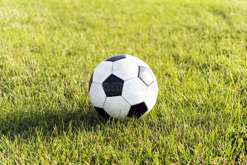 Close-up View of Leather Soccer Ball on Grass Stock Image - Image of ...