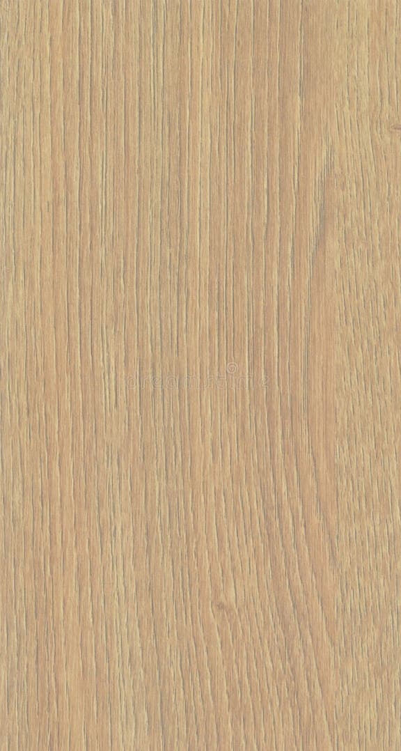 Close-up View of a Light Beige Wood-grain Texture Stock Image - Image ...
