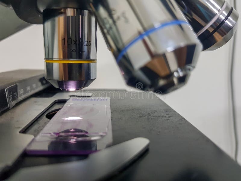 Close Up View of a Light Microscope with Glass Slide Focussed Stock ...