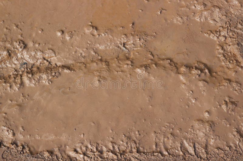 Surface of mud after rain stock photo. Image of reek - 155954750