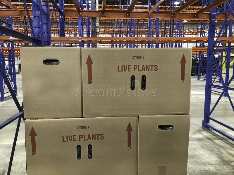 Live Plants in Boxes at a Distribution Centre. Stock Photo - Image of ...