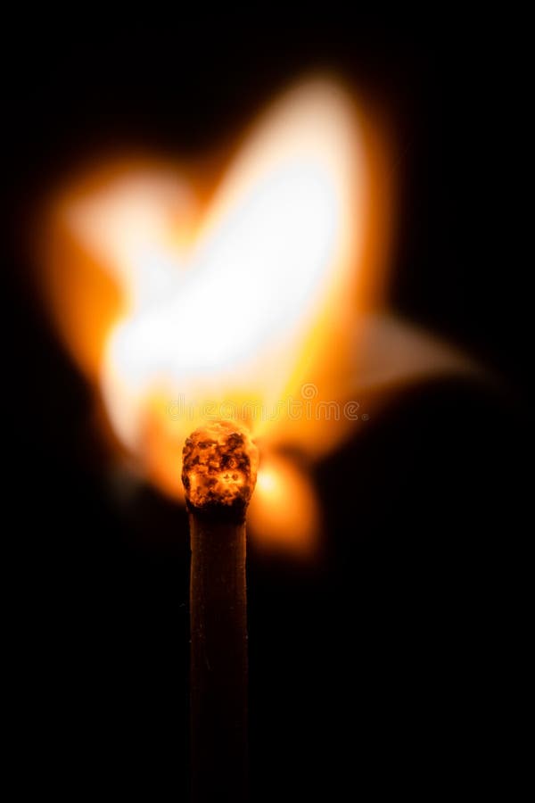 Close-up View of a Matchstick that Has Just Been Ignited, with the ...