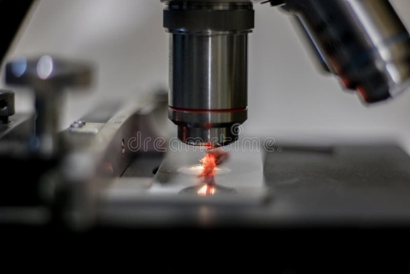 Wool Fiber Microscope Stock Photos - Free & Royalty-Free Stock Photos ...