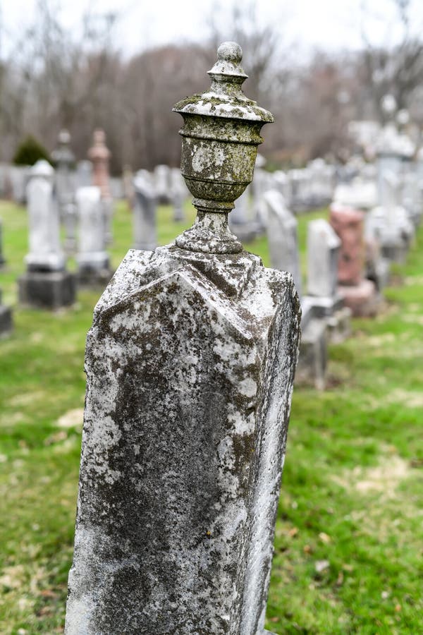 Close-up View of Moss and Algae on the Old Tombstone Grave Monument ...