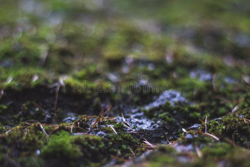 Gunmaken Map Stock Photos - Free & Royalty-Free Stock Photos from ...