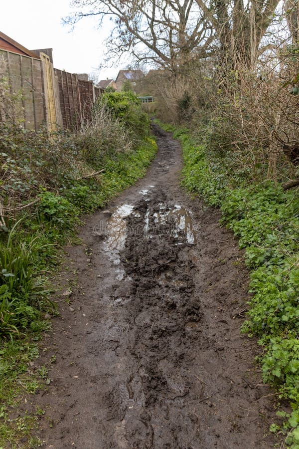 A Close Up View of a Muddy Path Stock Photo - Image of outside, white ...