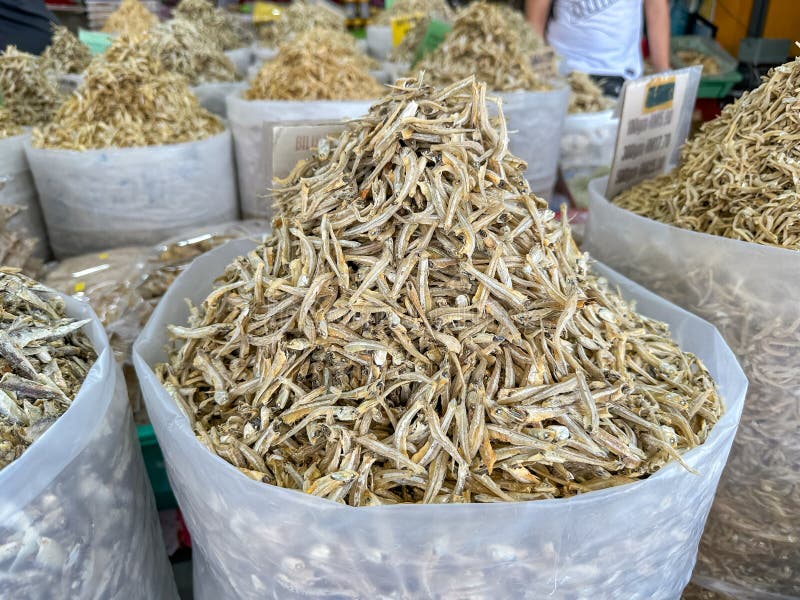 Dried Fish Displayed in Bags Stock Photo - Image of fishing, feature ...