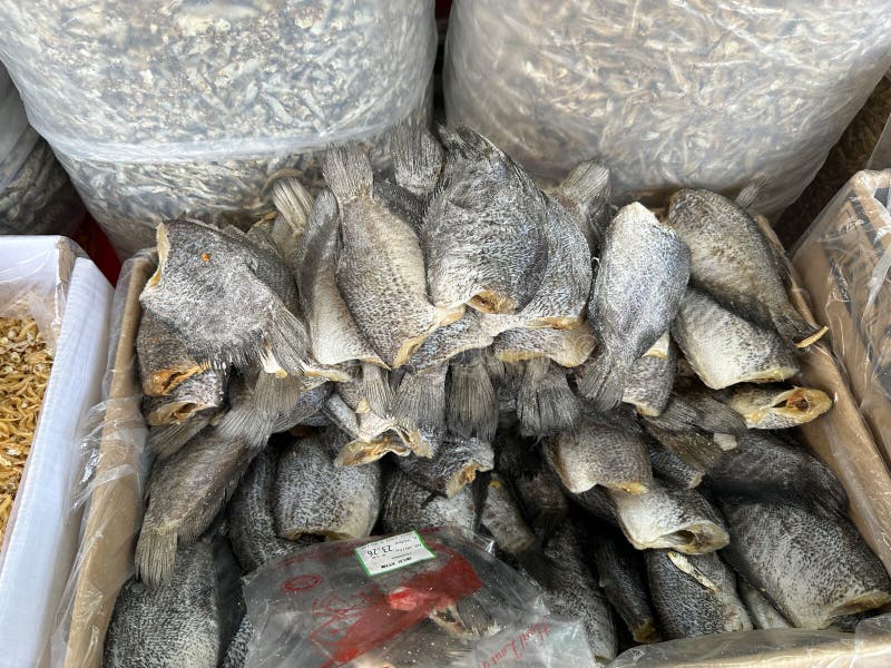 Dried Fish Displayed in Bags Stock Photo - Image of produce, dried ...