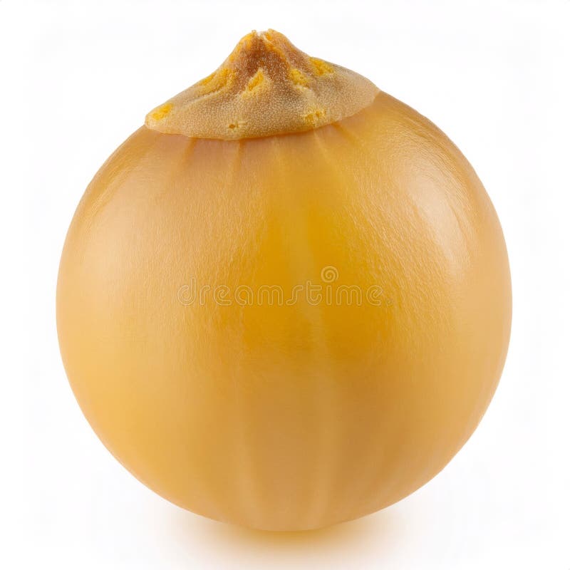 Close Up View of a Mustard Seed, Highlighting Its Smooth, Shiny Texture ...