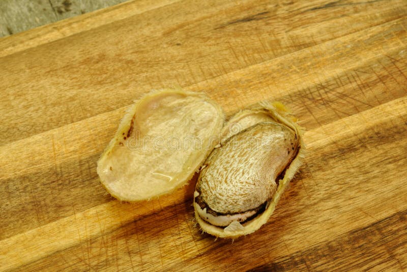 Close-up View of an Open Mango Stone and a Seed Inside Against the ...