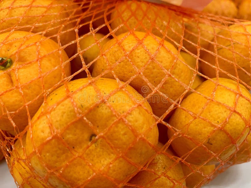 Close Up View of Orange Fruits in a Net Stock Image - Image of orange ...