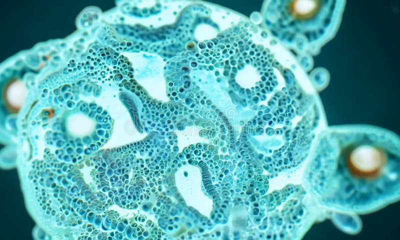 Close-up View of Parasites Under a Microscope Stock Video - Video of ...