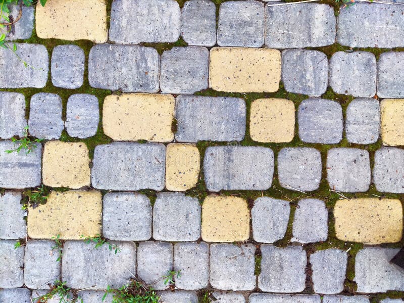 Close Up Moss Growing Brick Pavers Stock Photos - Free & Royalty-Free ...