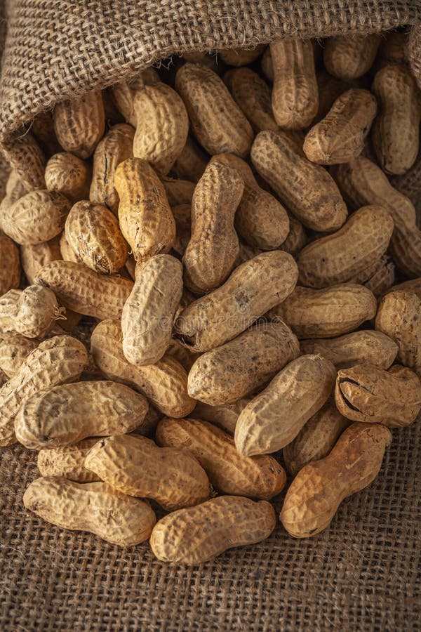 512 Groundnut Bag Photos - Free & Royalty-Free Stock Photos from Dreamstime