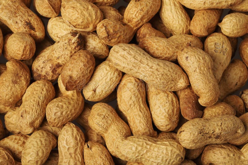 Peanuts Full Background Macro Stock Photo - Image of american ...