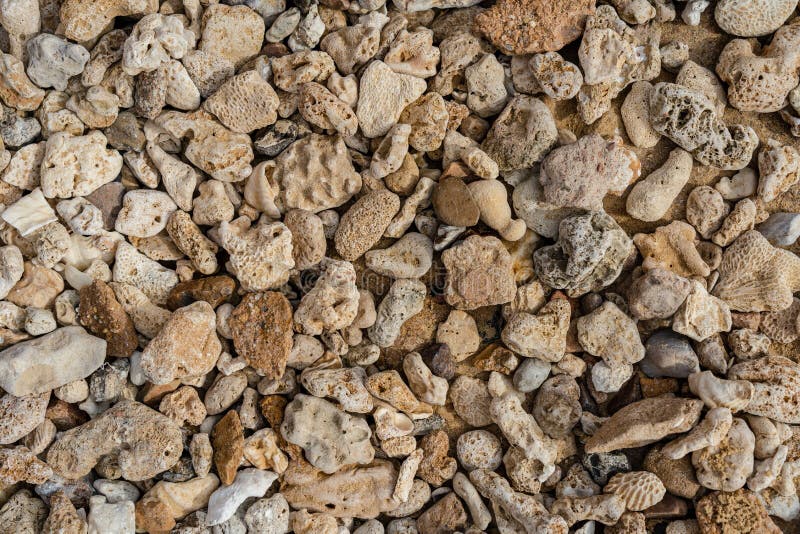 Pebbles on the sandy beach stock image. Image of shape - 209965535