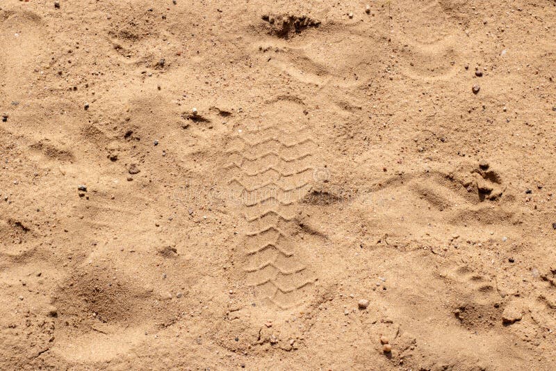This is a Close Up View of a Pile of Sand with Visible Footprints in it ...