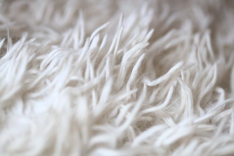 A Close-up View of a Pile of White Wool Stock Photo - Image of storage ...