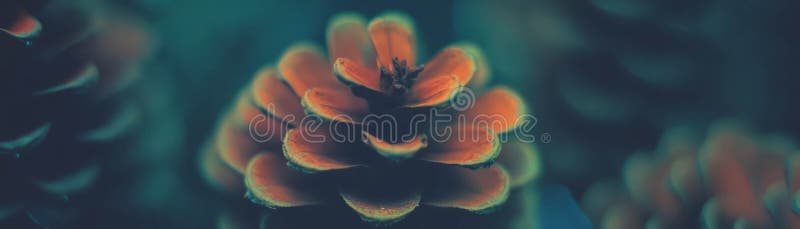 Close-up View of a Pine Cone Showcasing Intricate Halftone Texture ...