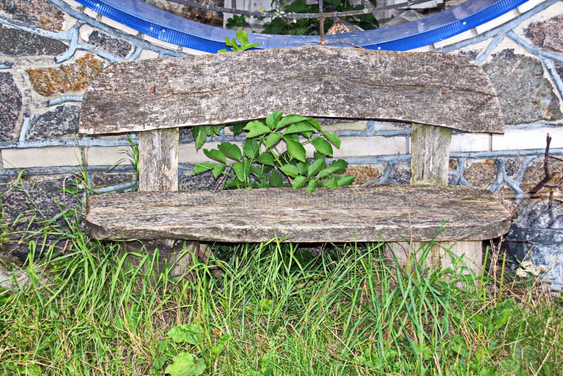 A Close-up View of Pine Logs Stacked Horizontally and the Structure of ...