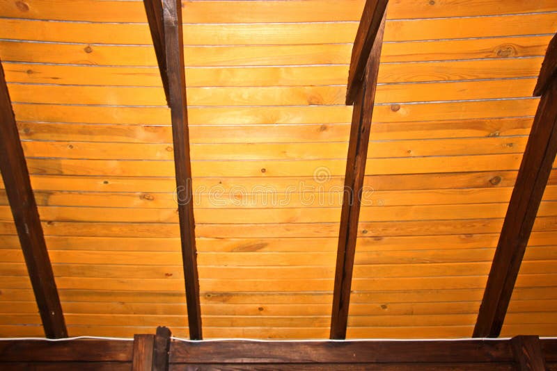 A Close-up View of Pine Logs Stacked Horizontally and the Structure of ...