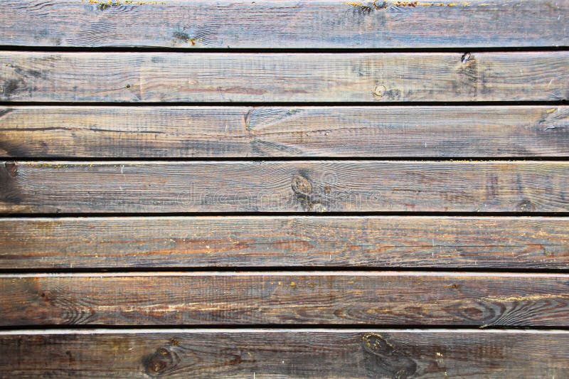 A Close-up View of Pine Logs Stacked Horizontally and the Structure of ...