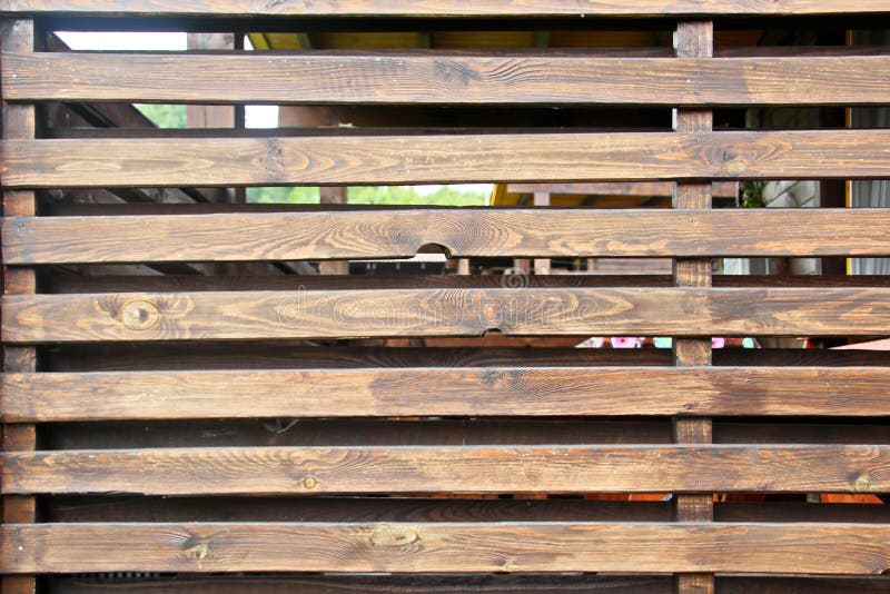 A Close-up View of Pine Logs Stacked Horizontally and the Structure of ...