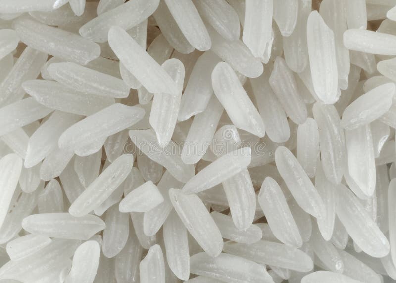 Close-Up View of Polished White Rice Grains Highlighting Texture and ...