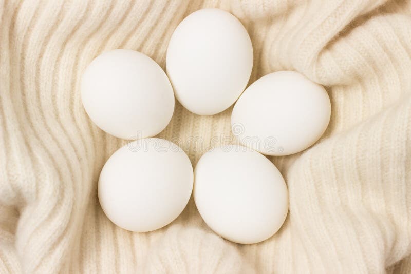 Close Up View of Raw Chicken Eggs in Shell on White Woolen Background ...