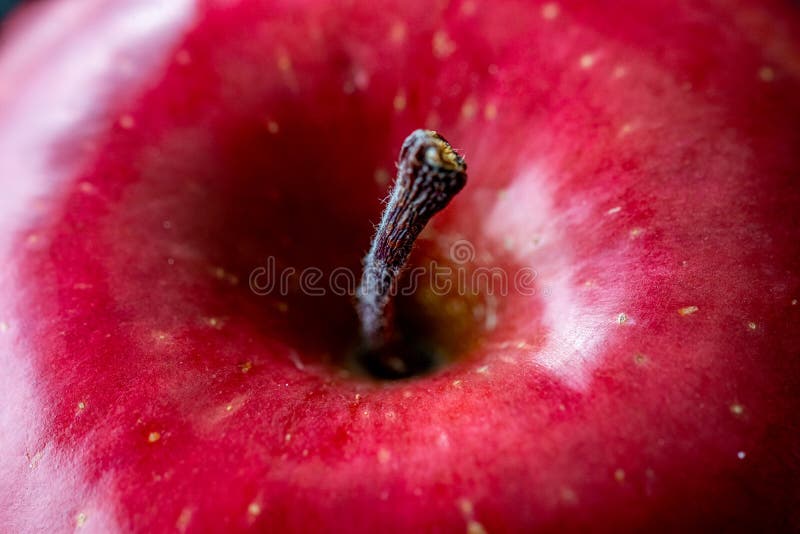 Close up view of red apple stock photo. Image of apple - 168160464