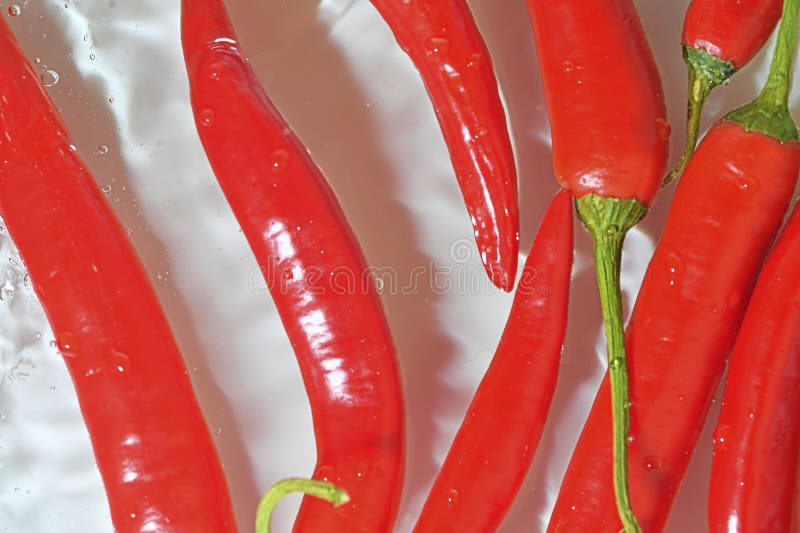 Chilli Macro Photo stock image. Image of dried, macro - 251842071