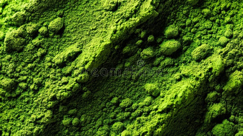 Vivid Green Texture of Powdered Matcha with Intricate Details ...