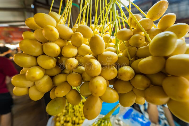 Bunch of Yellow Plastic Raw Plug Supports. Front View, Isolated on ...