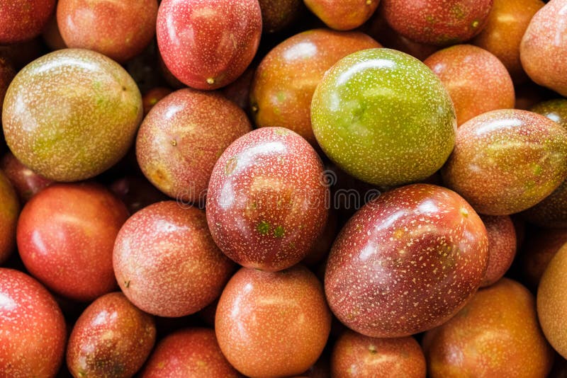 Red passion fruit stock image. Image of round, nutrition - 117462553