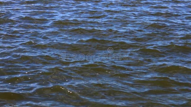 Close Up View of Ripple on Water of River Stock Footage - Video of ...