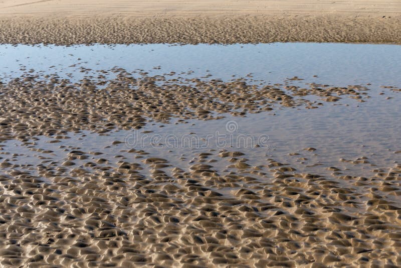 Ripples in the sand stock photo. Image of impression - 193402490
