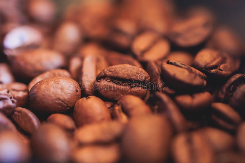 Close-up View of Roasted Coffee Beans, Coffee Production Process Stock ...