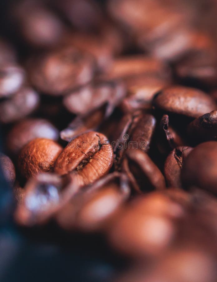 Close-up View of Roasted Coffee Beans, Coffee Production Process Stock ...