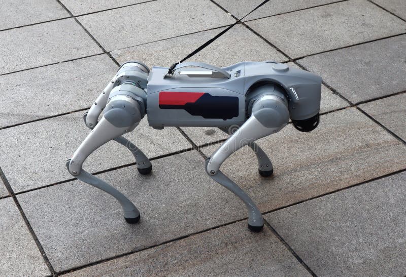 Close Up View Robot Dog Stock Photos - Free & Royalty-Free Stock Photos ...