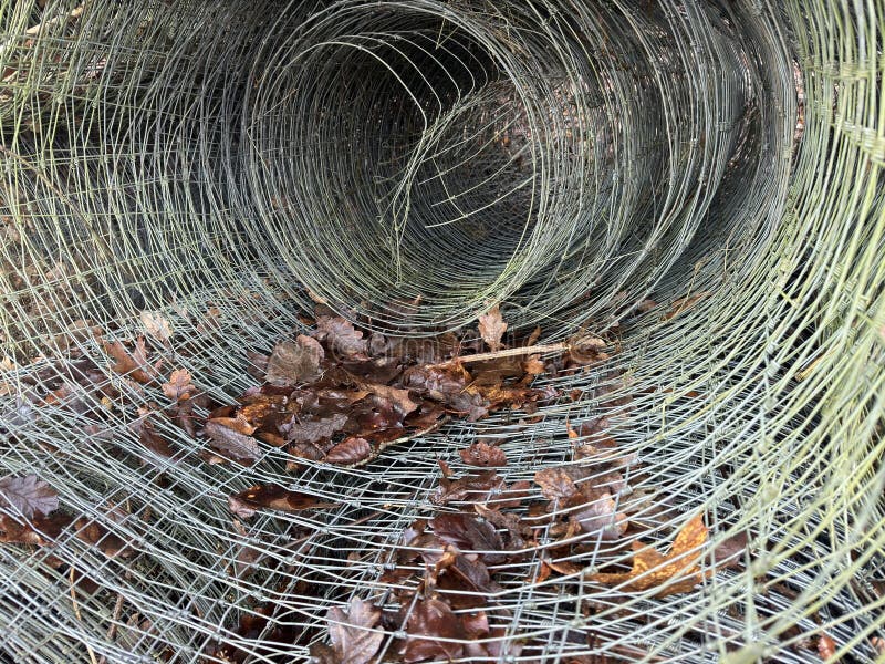 Rolled Wire Mesh with Dried Leaves Inside Stock Image - Image of ...