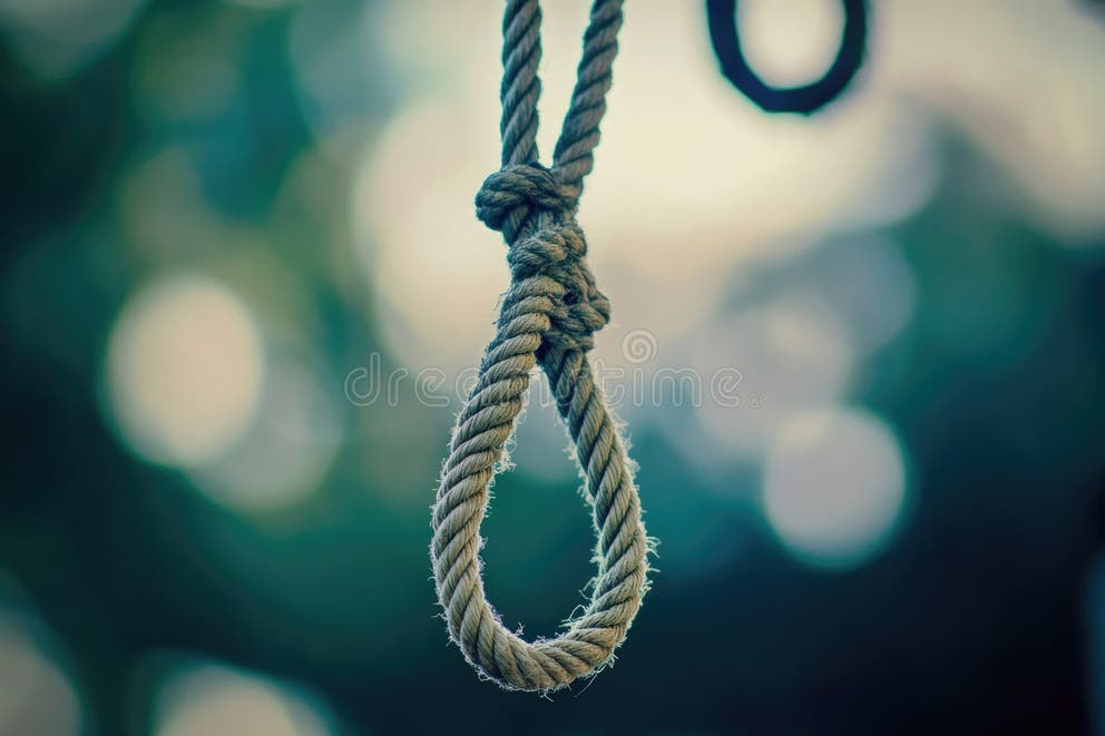 A Close-up View of a Rope Suspended from a Tree Branch Stock Image ...